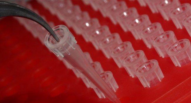 Ectogenesis ushers in 'Gattaca'-like future with lab-grown wombs - Gearburn